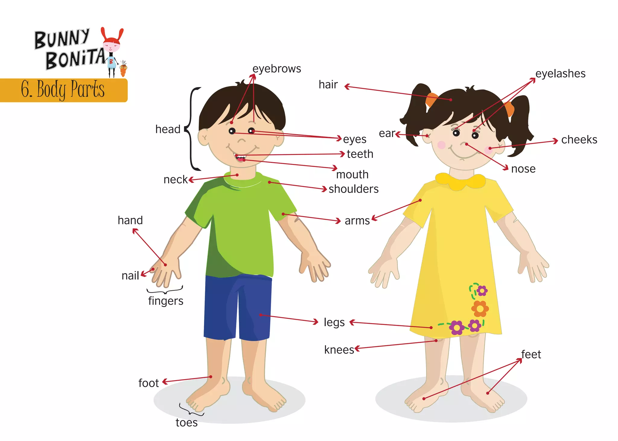 Poster 6. body parts | PPT