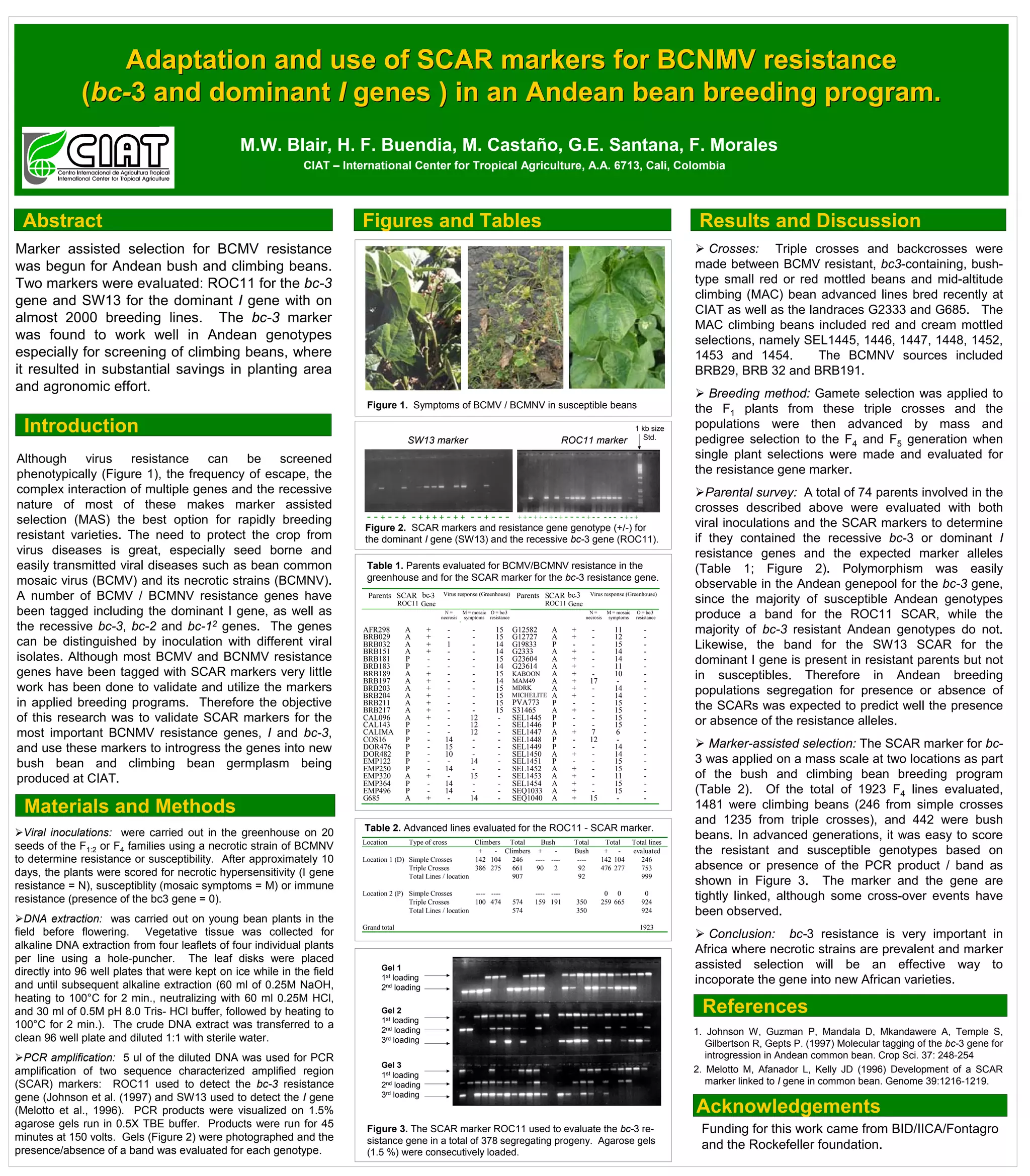 Poster63: Adaptation and use of SCAR markers for BCNMV resistance (bc-3 ...