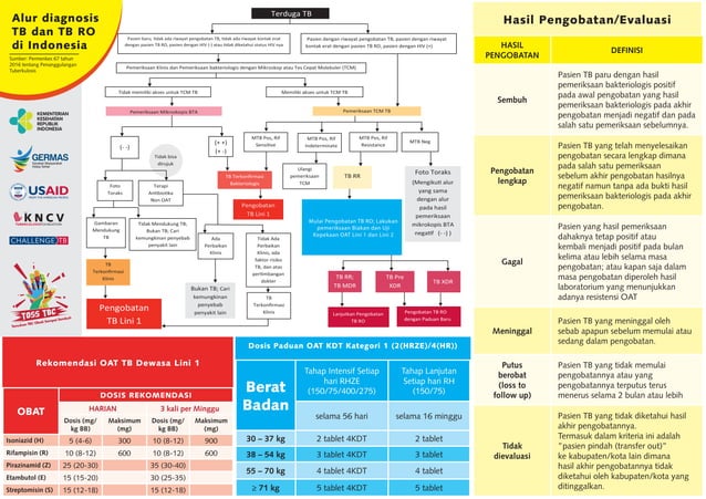 poster_alur_diagnosis_tb___rev_subdit_tb.pdf