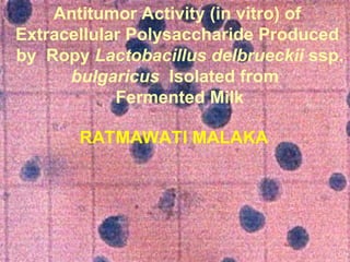 Antitumor Activity (in vitro) of Extracellular Polysaccharide Produced ...