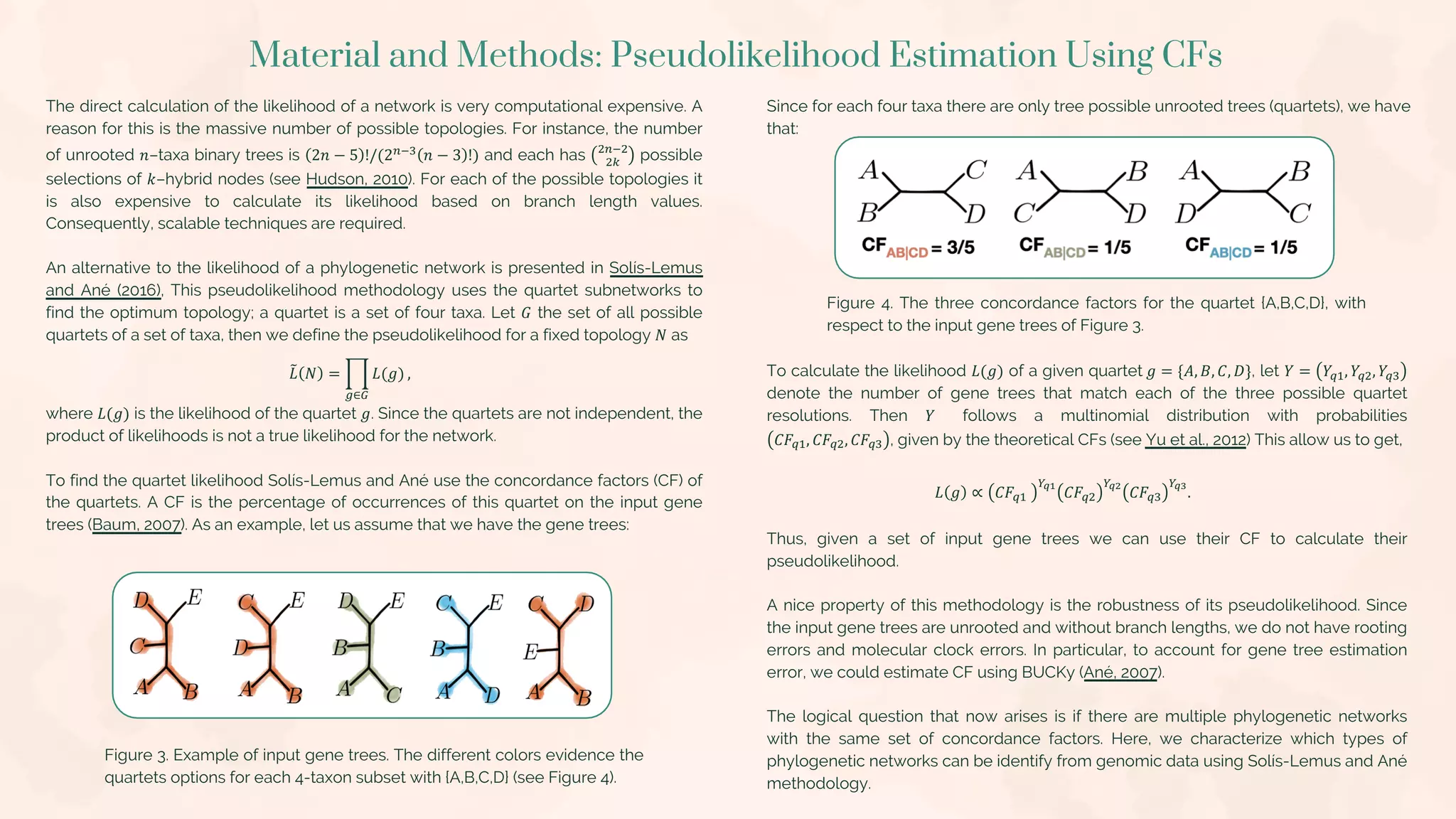 On the identifiability of phylogenetic networks under a ...