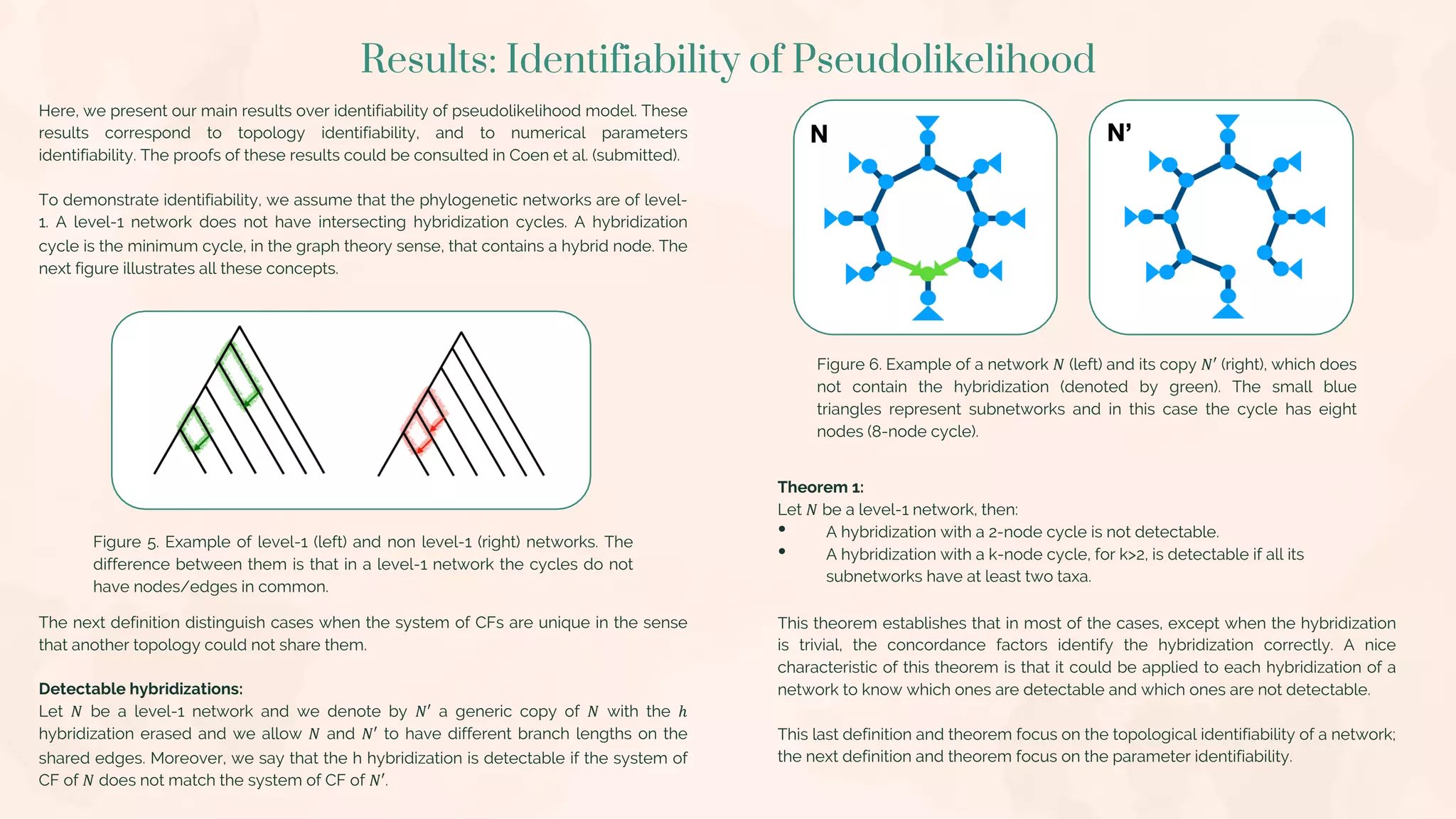 On the identifiability of phylogenetic networks under a ...