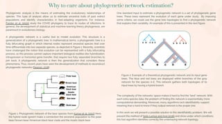 On the identifiability of phylogenetic networks under a pseudolikelihood model | PDF | Computer ...