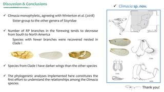 Phylogenetic systematics of Climacia McLachlan, 1869 (Neuroptera: Sisyridae) | PDF | Biological ...