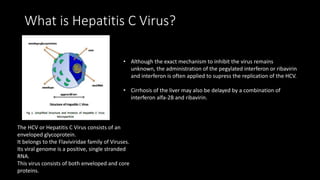 Poster based hcv | PPT