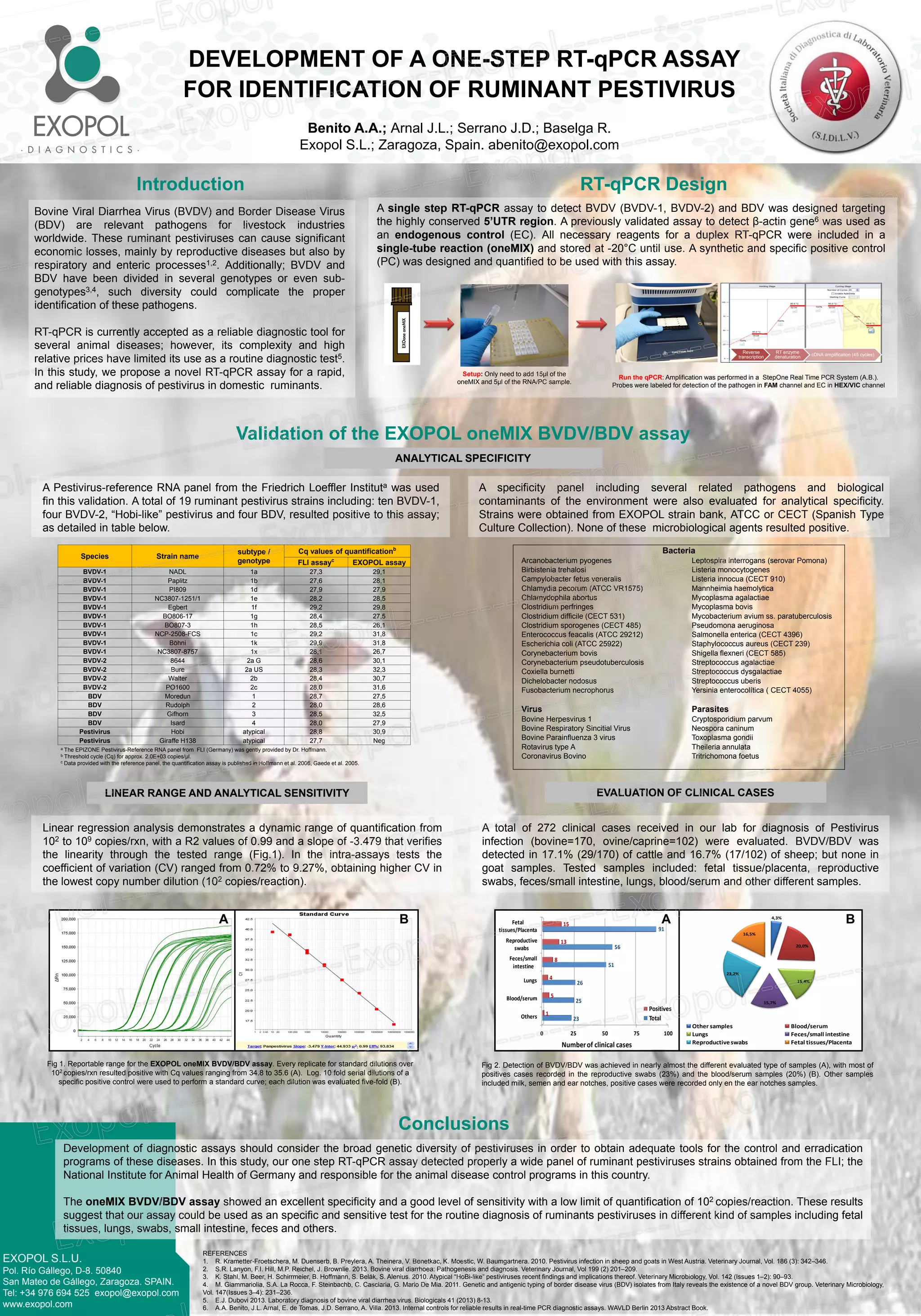 Poster benito SIDiLV BVD/BDV | PDF | Infectious Diseases | Diseases and Conditions