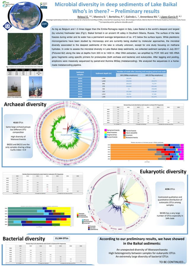Microbial diversity in deep sediments of Lake Baikal | PDF