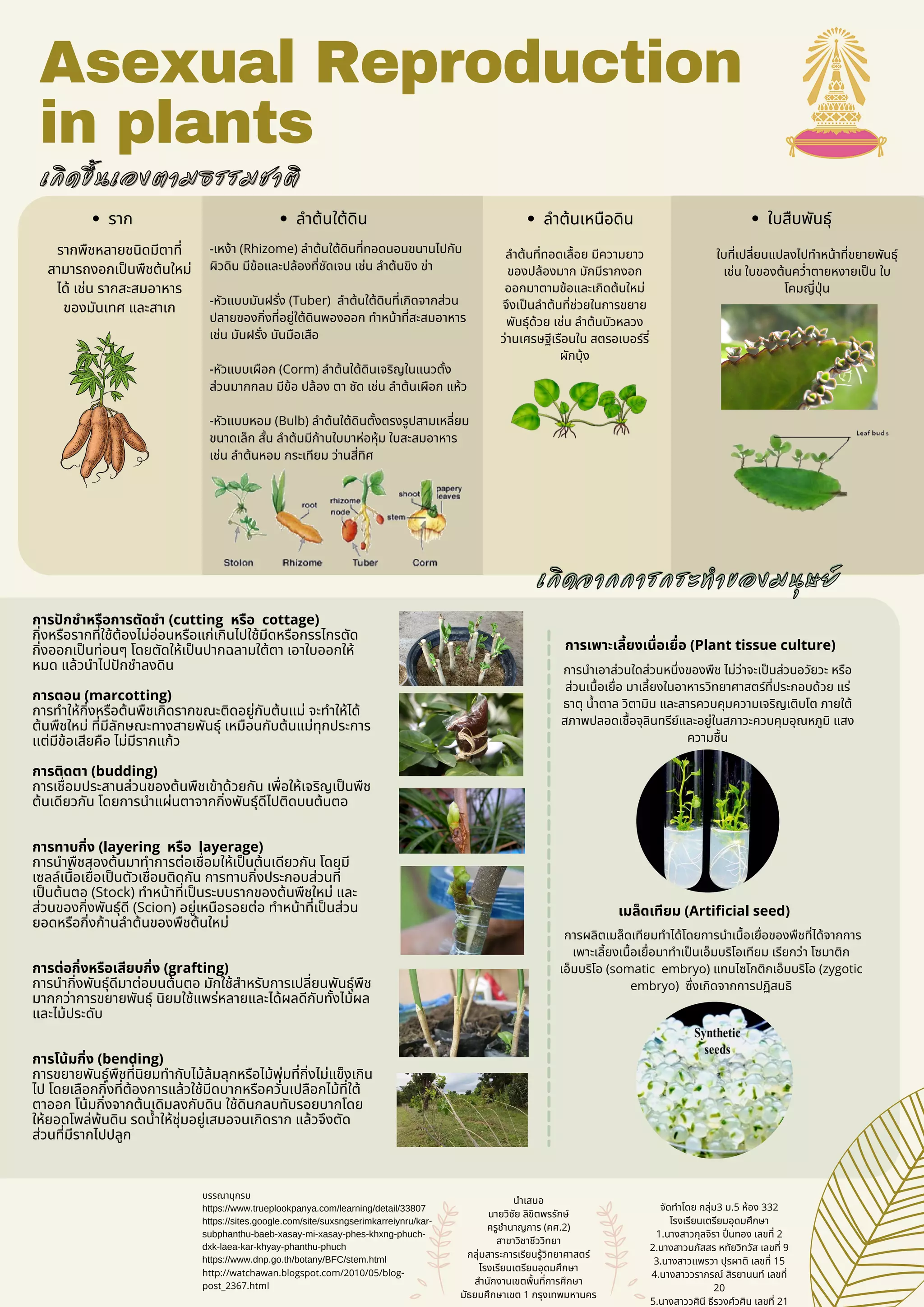 Poster asexual reproduction | PDF