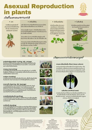 Poster asexual reproduction | PDF