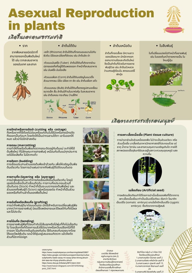 Poster asexual reproduction | PDF