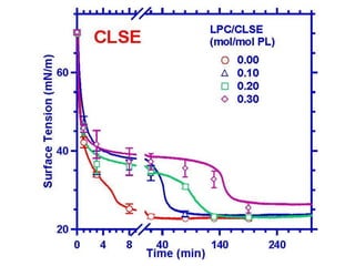 Poster bps meet-2005-final | PPT