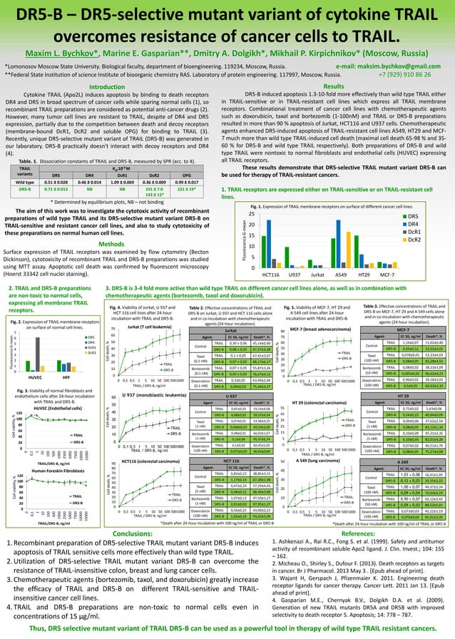 DR5-B – DR5-selective mutant variant of cytokine TRAIL overcomes resistance of cancer cells to ...