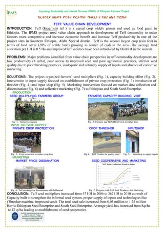 Teff value chain development | PDF