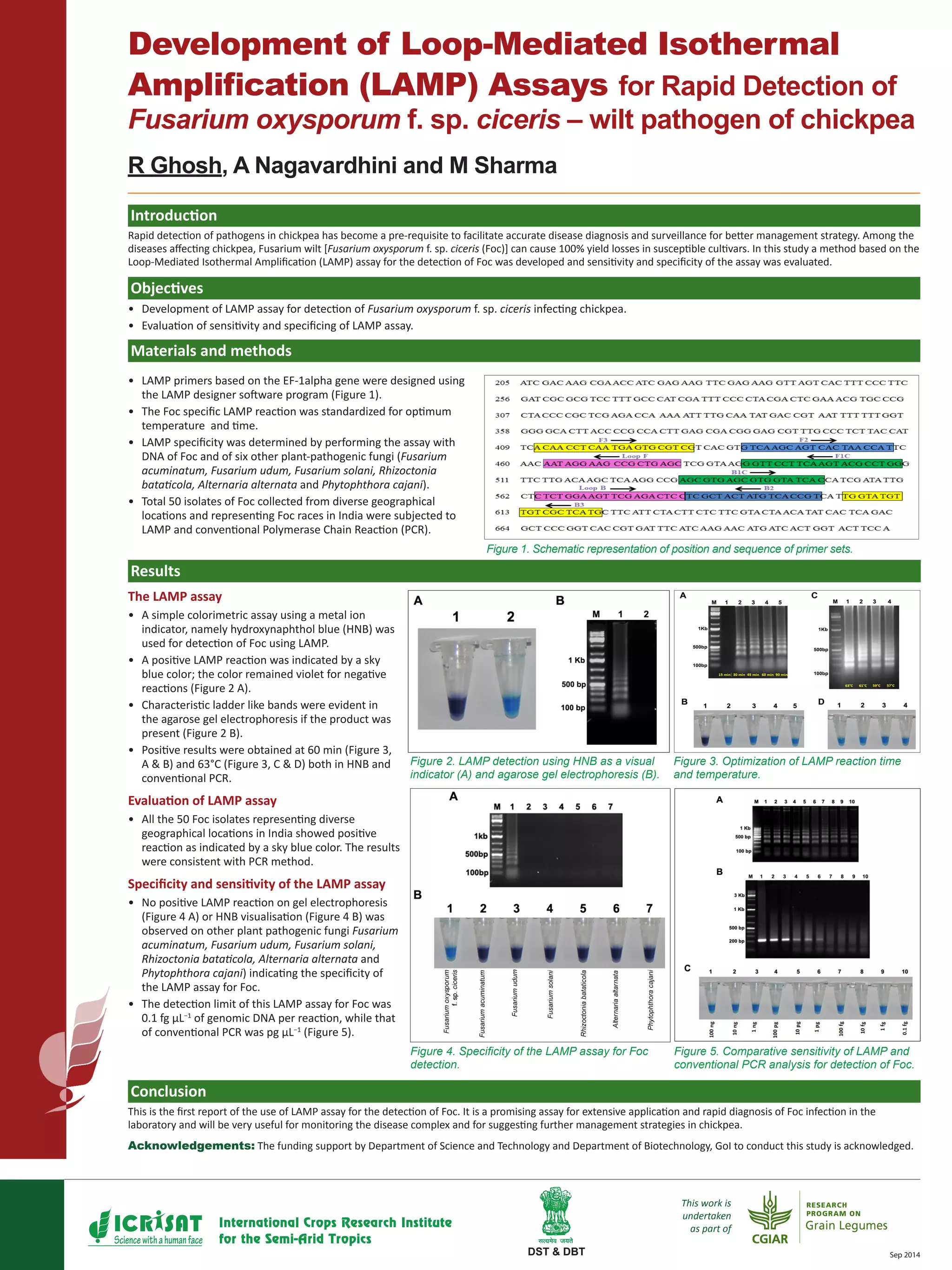 Development of Loop-Mediated Isothermal Amplification (LAMP) Assays for ...