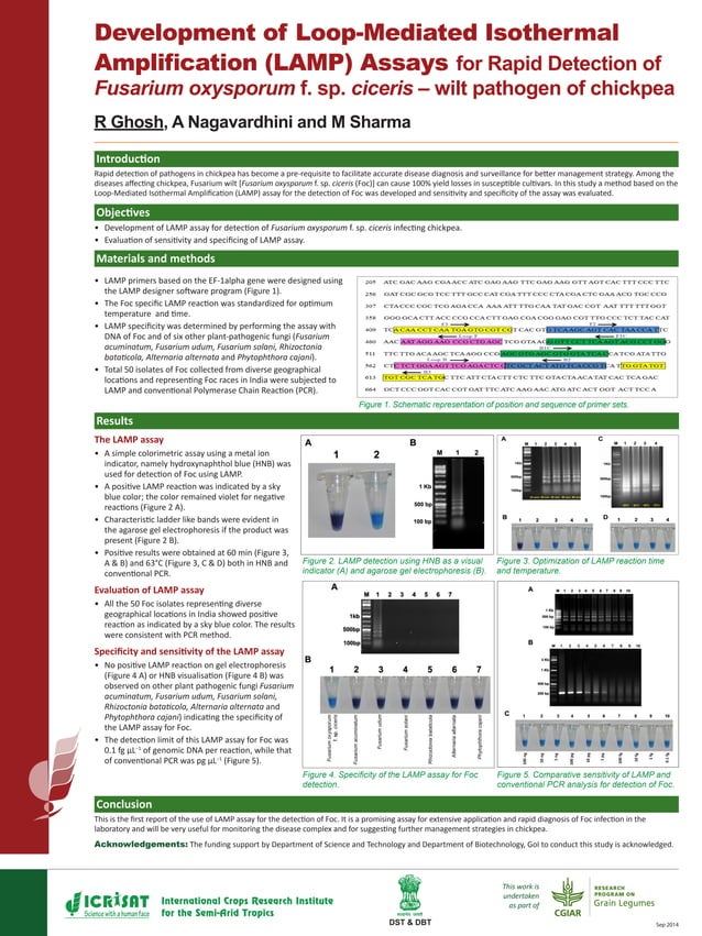 Development of Loop-Mediated Isothermal Amplification (LAMP) Assays for Rapid Detection of ...