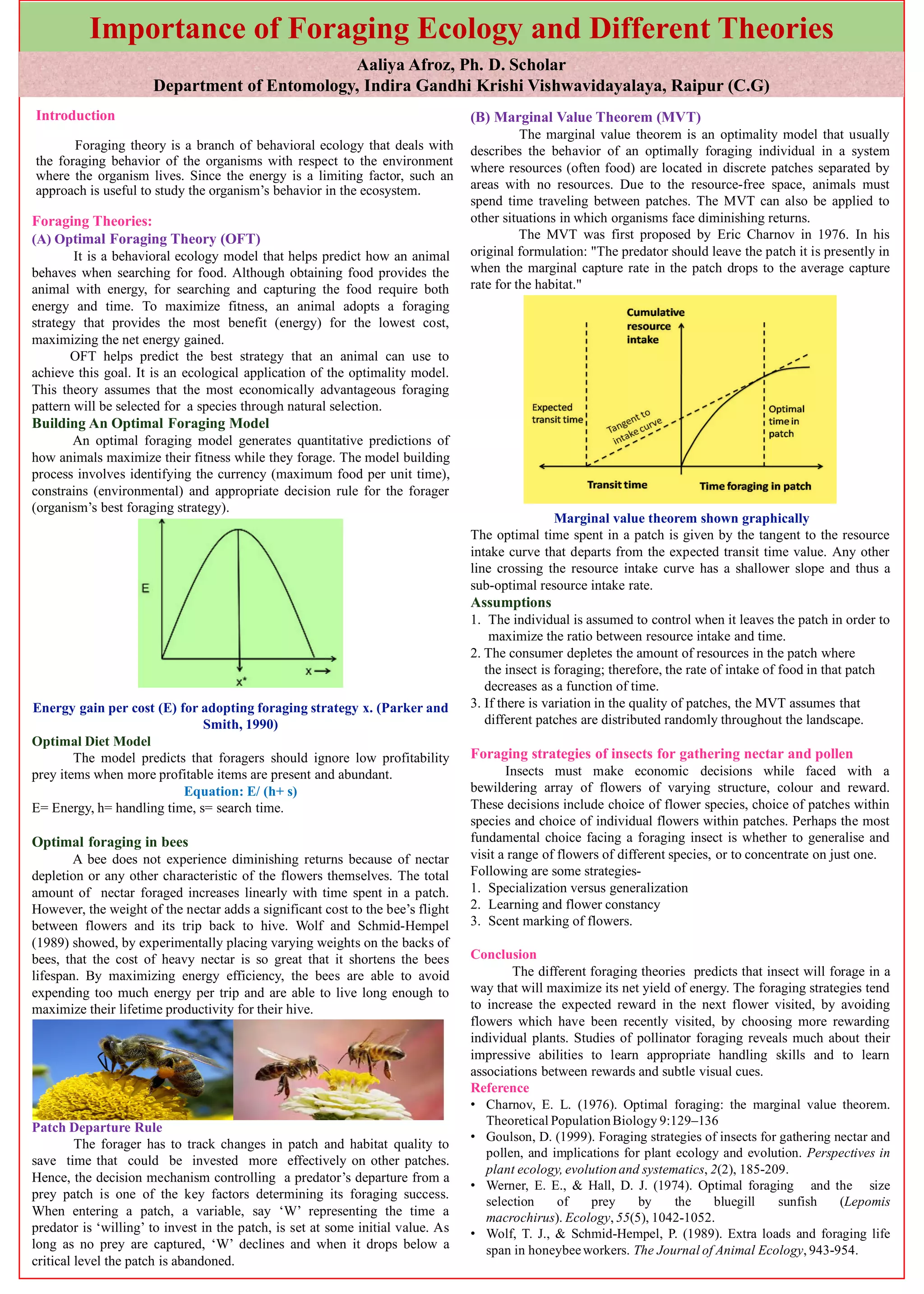 Importance of ecology and different foraging theories | PDF