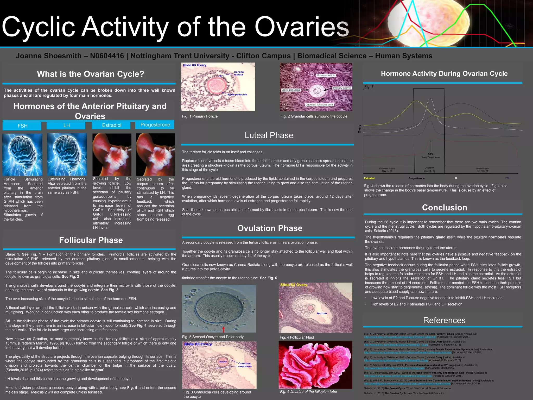 Human Systems Poster Presentation | PDF