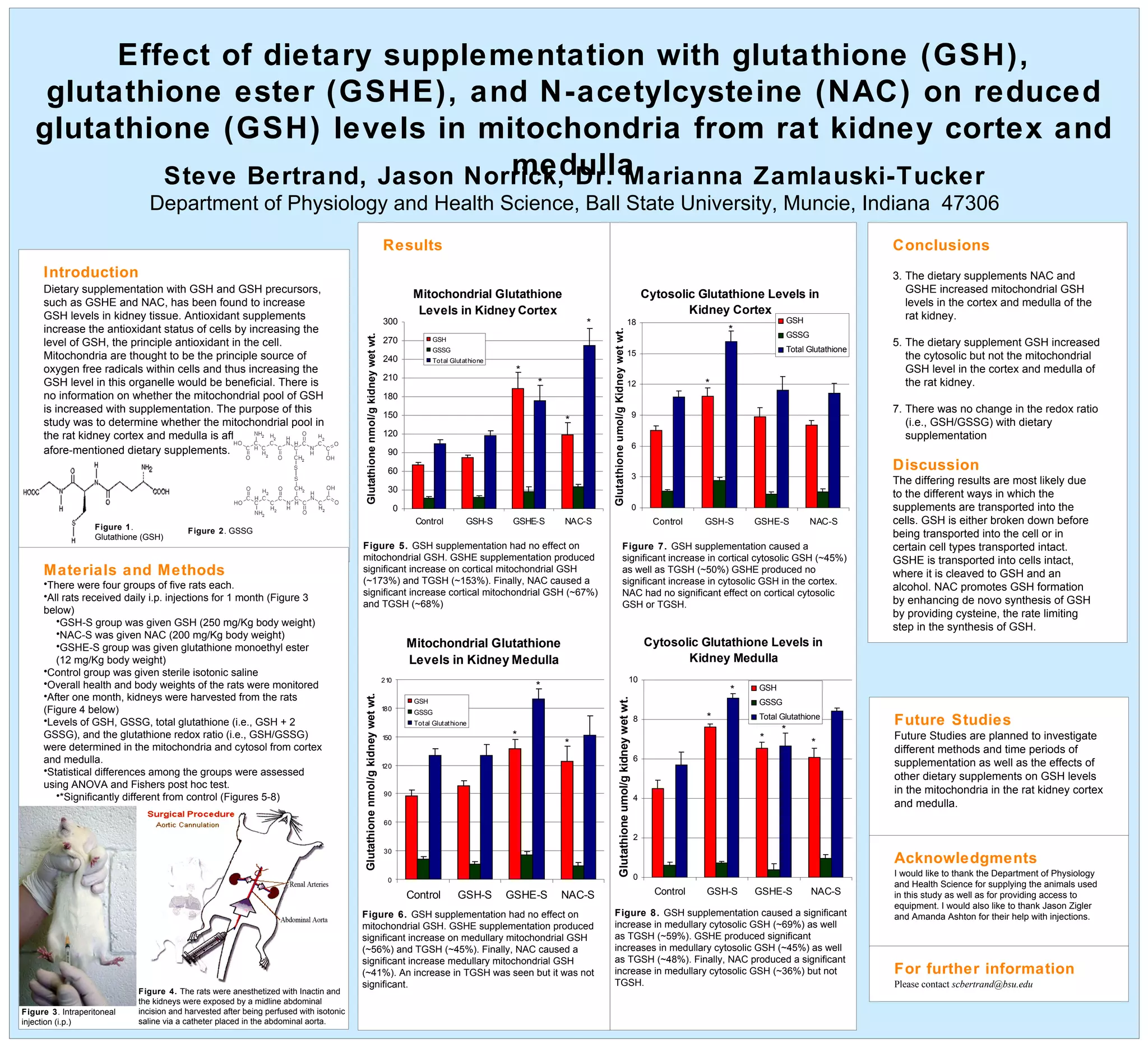 Poster For Student Symposium | PPT
