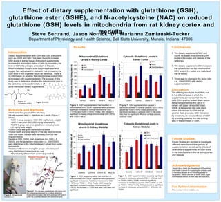 Poster For Student Symposium | PPT
