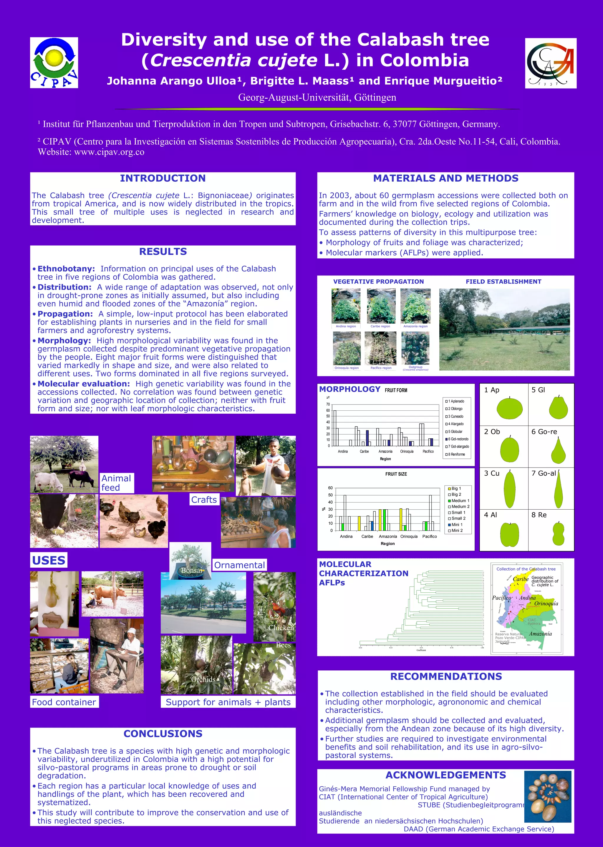 Diversity and use of the Calabash tree (Crescentia cujete L.) in ...
