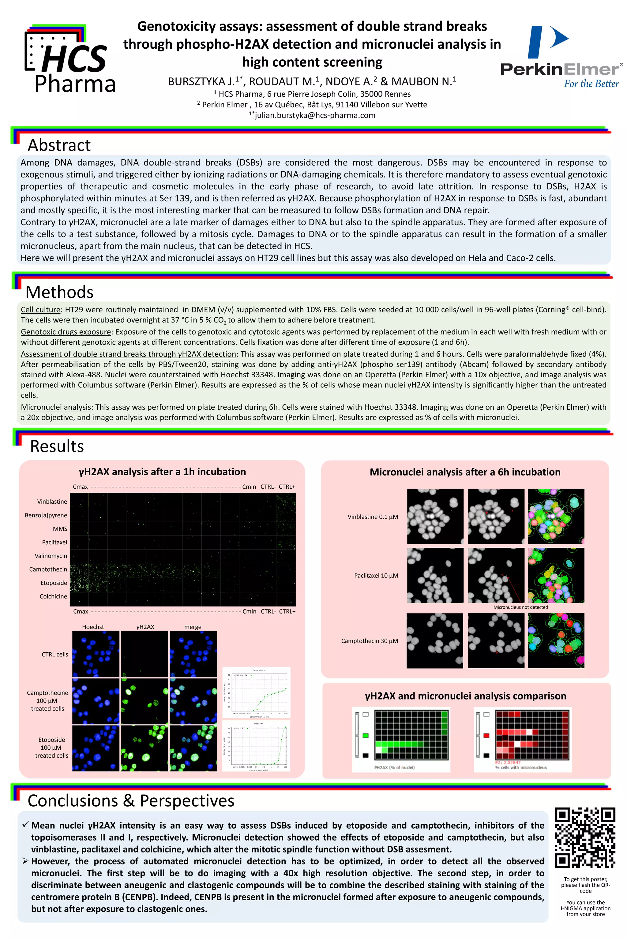 Genotoxicity assays: assessment of double strand breaks through phospho ...