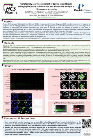 Genotoxicity assays: assessment of double strand breaks through phospho ...
