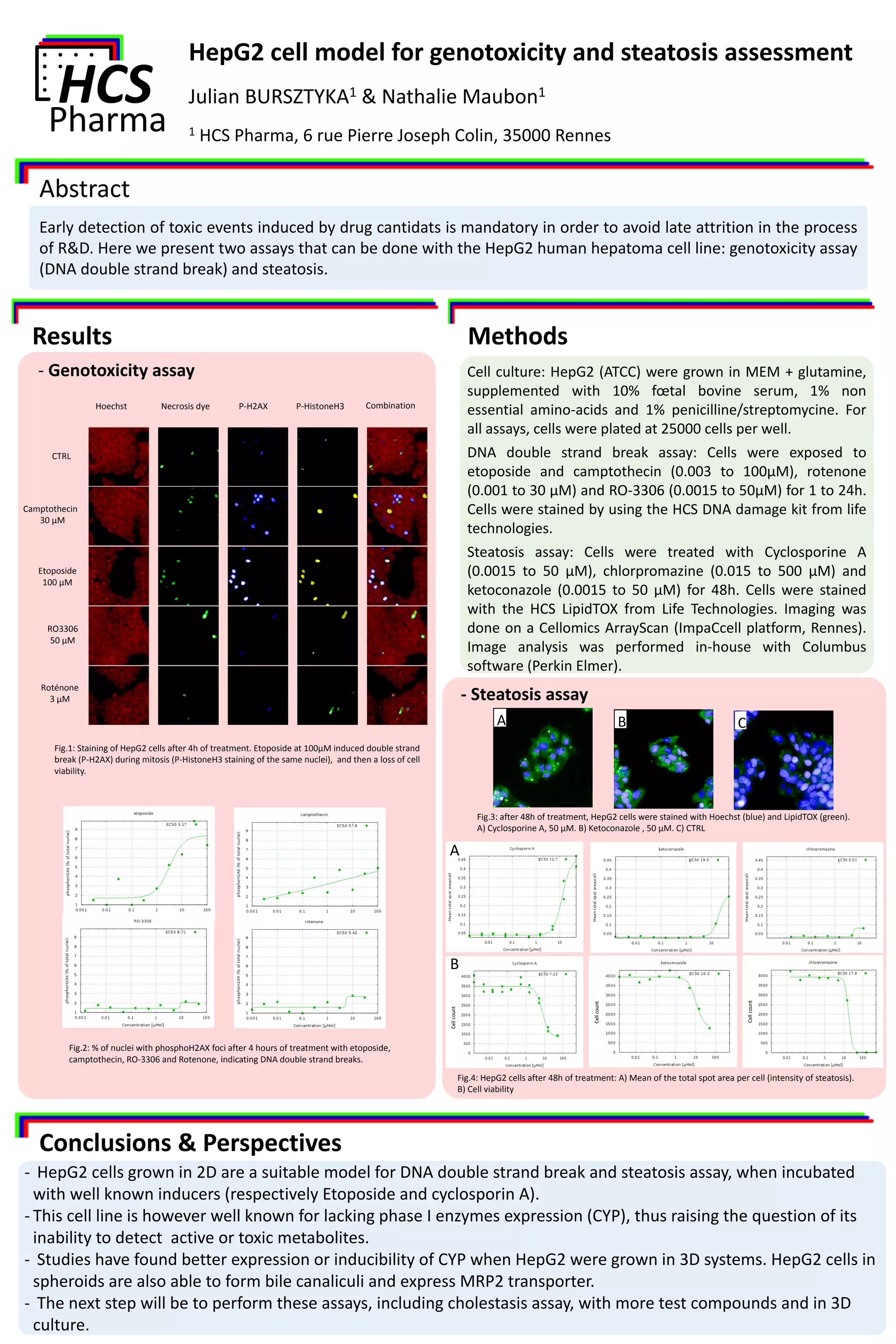 HepG2 cell model for genotoxicity and steatosis assessment | PDF