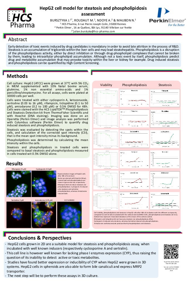HepG2 cell model for steatosis and phospholipidosis assessment