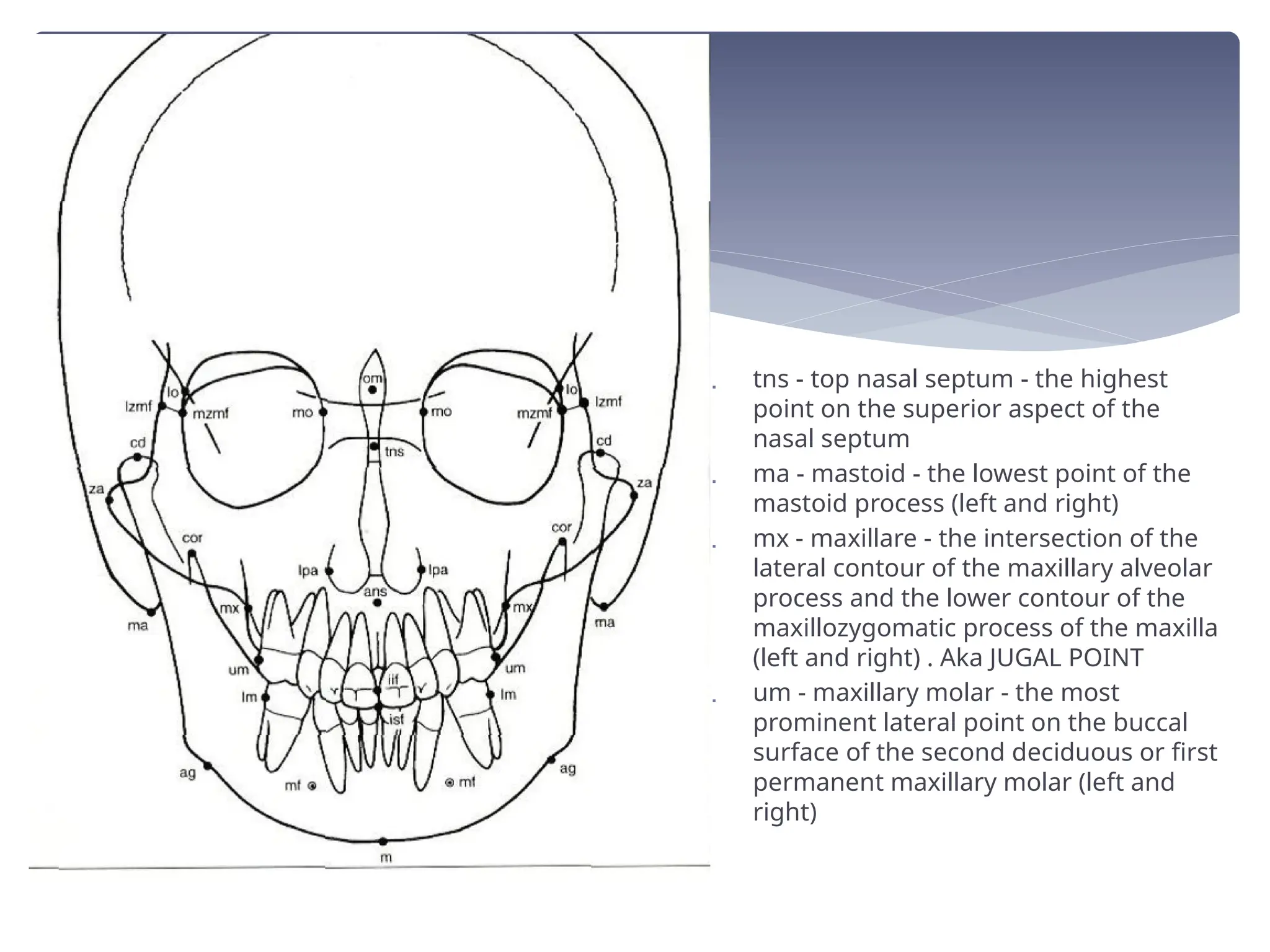 posterio-anteriorcephalometricanalysis-151006050617-lva1-app6891 (1).pptx