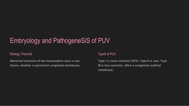 Posterior-Urethral-Valves-PUV-An-Overview (1).pptx