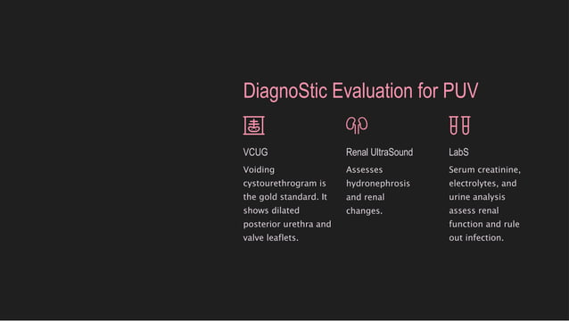 Posterior-Urethral-Valves-PUV-An-Overview (1).pptx