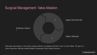Posterior-Urethral-Valves-PUV-An-Overview (2).pptx