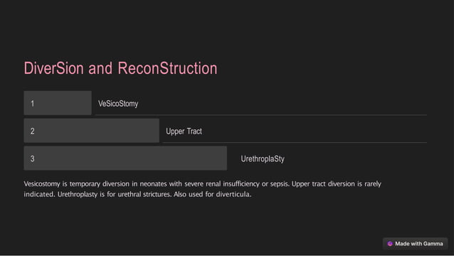 Posterior-Urethral-Valves-PUV-An-Overview (2).pptx