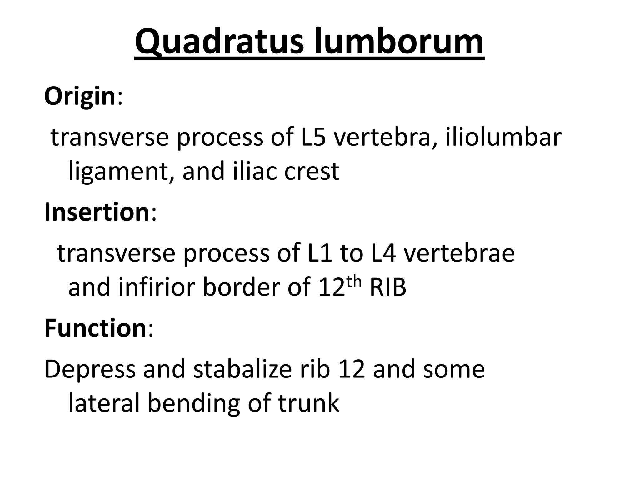 Posterior abdominal wall | PPTX