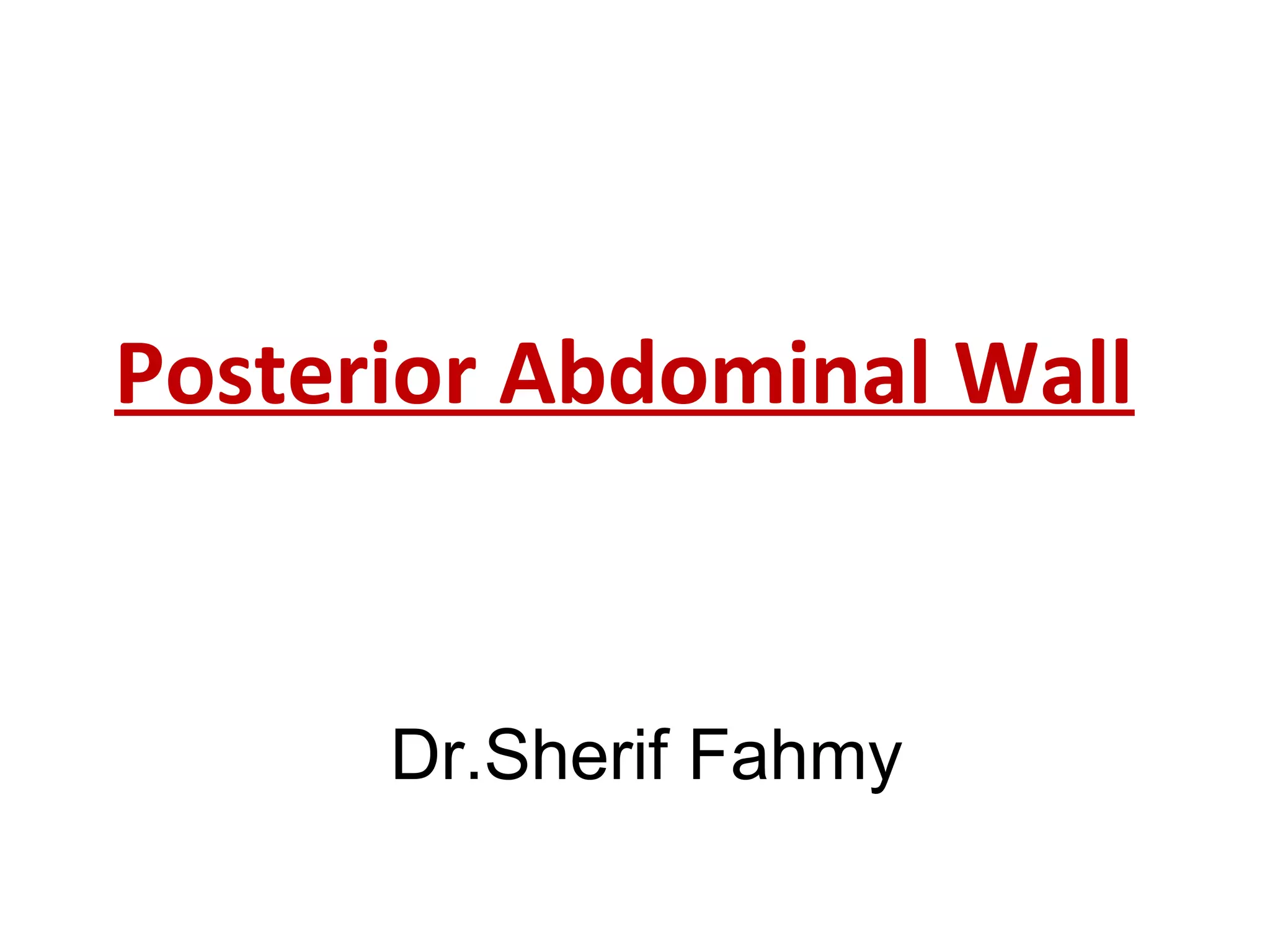 Posterior Abdominal Wall (Anatomy of the Abdomen) | PPS