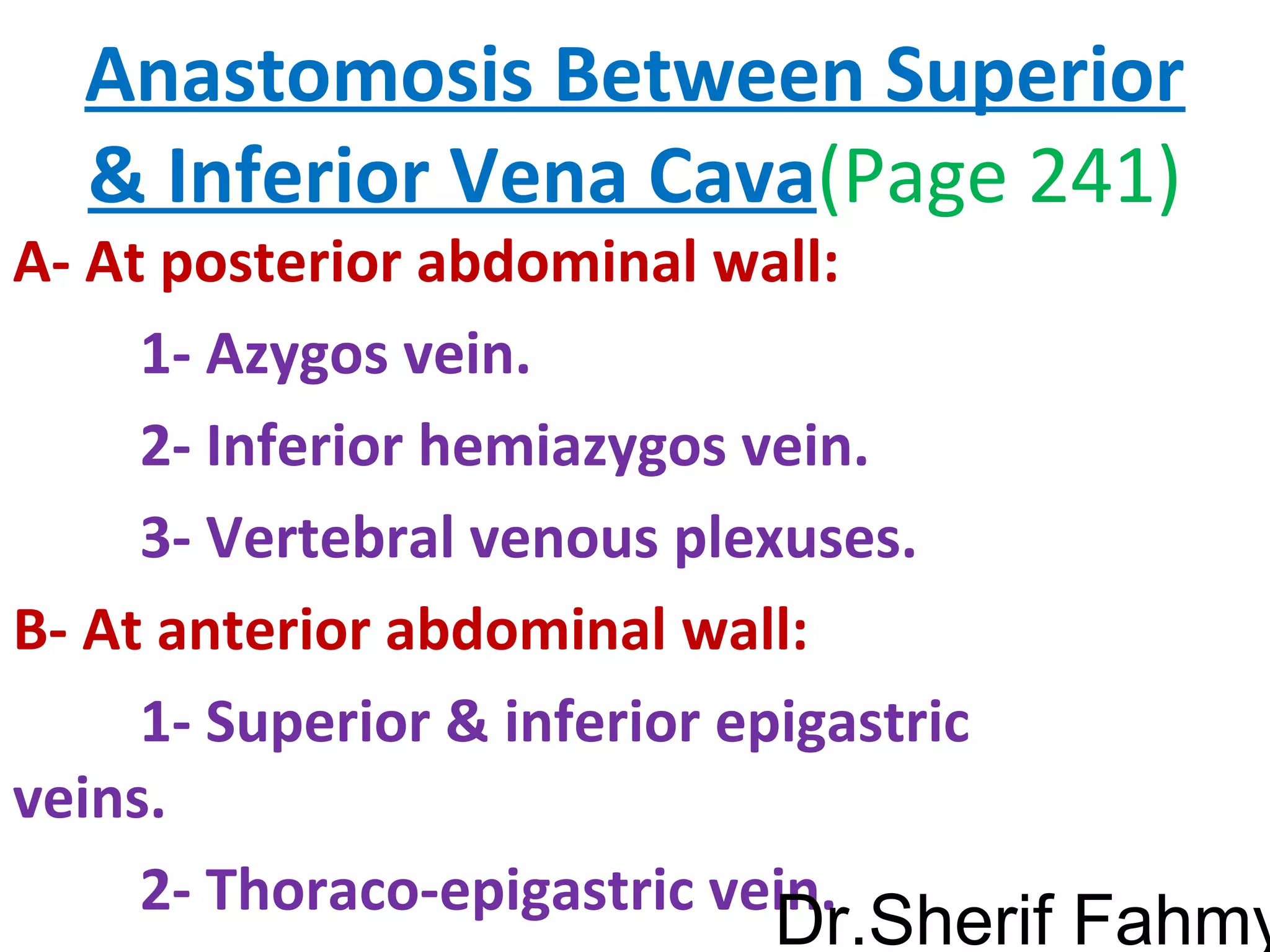 Posterior Abdominal Wall (Anatomy of the Abdomen) | PPS