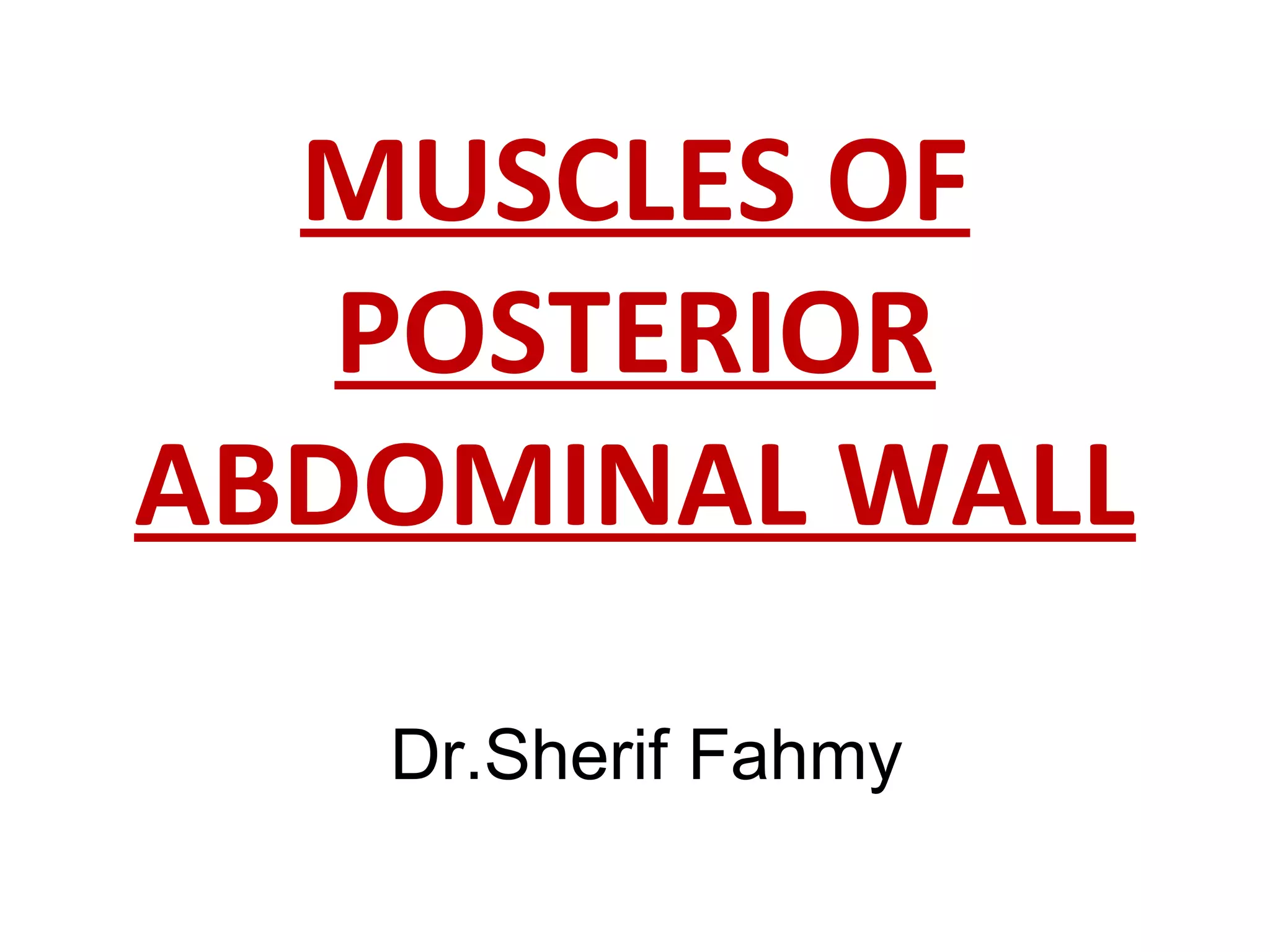 Posterior Abdominal Wall (Anatomy of the Abdomen) | PPS