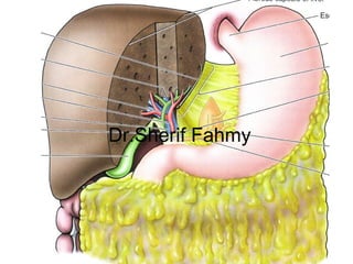 Posterior Abdominal Wall (Anatomy of the Abdomen) | PPS