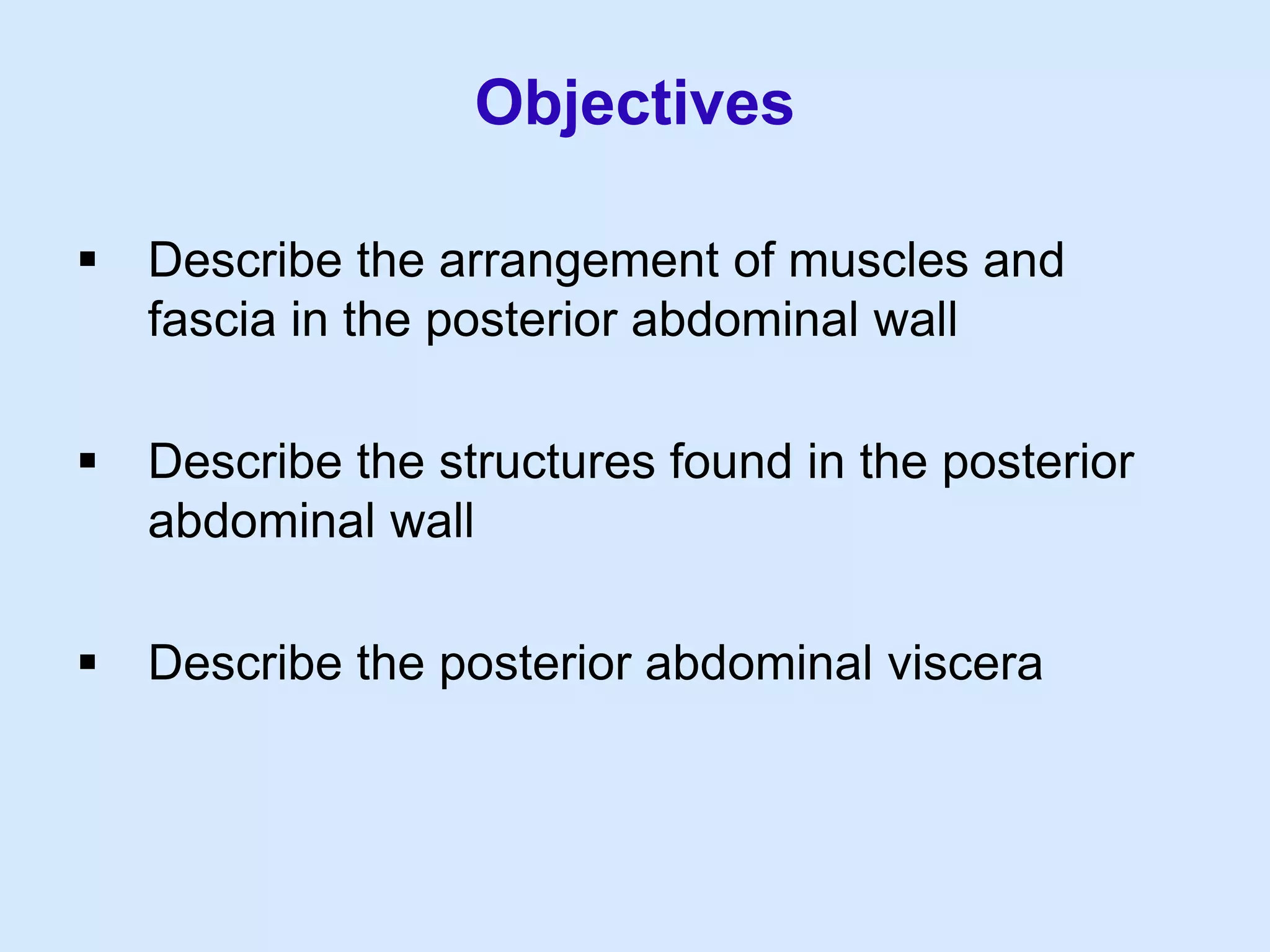 Posterior abdominal wall | PPSX