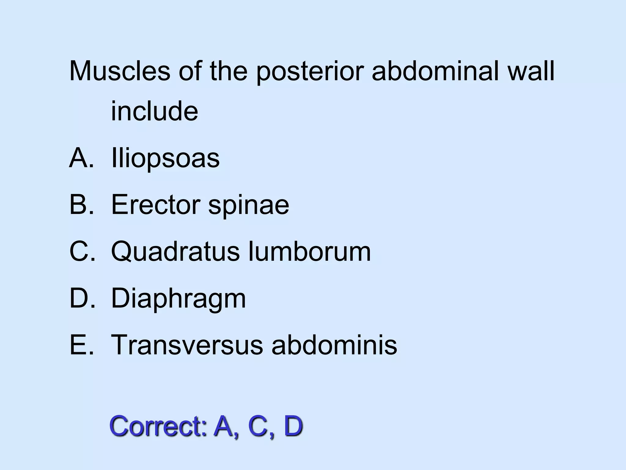 Posterior abdominal wall | PPSX