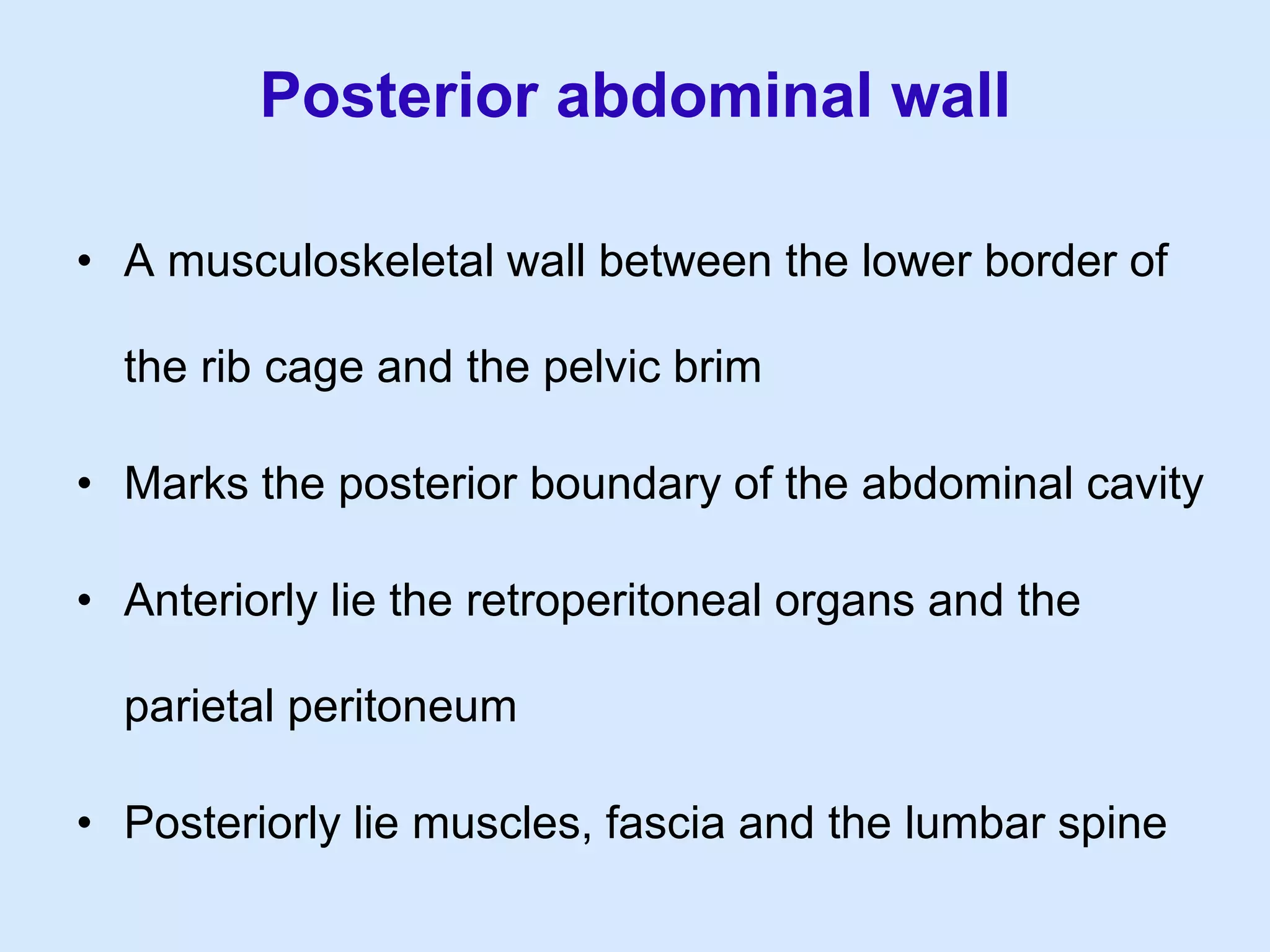 Posterior abdominal wall | PPSX