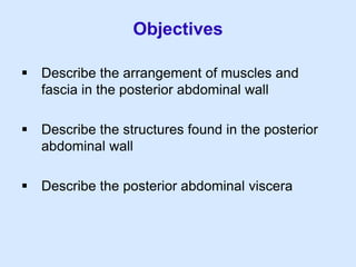 Posterior abdominal wall | PPT