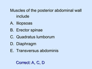 Posterior abdominal wall | PPT