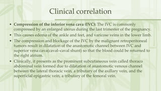 Posterior abdominal wall | PPTX