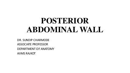 Posterior abdominal wall.pptx