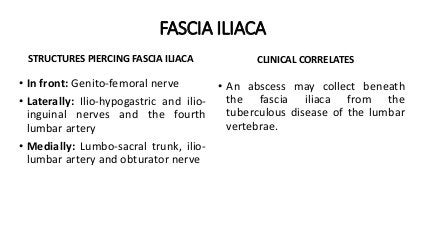 Posterior abdominal wall.pptx