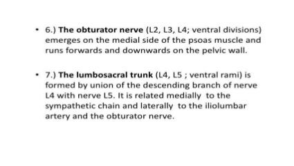Posterior abdominal wall.pptx