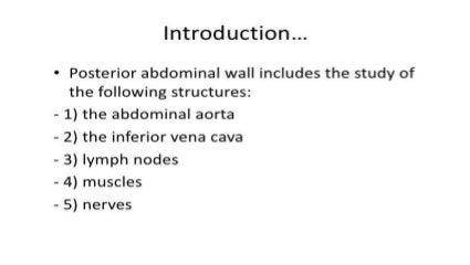 Posterior abdominal wall.pptx