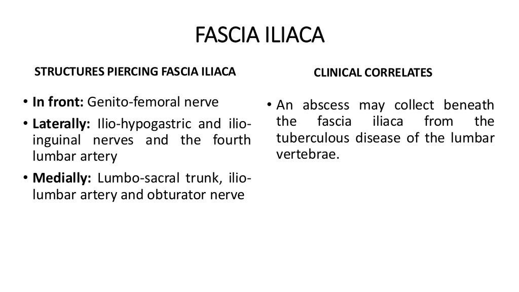 Posterior abdominal wall.pptx