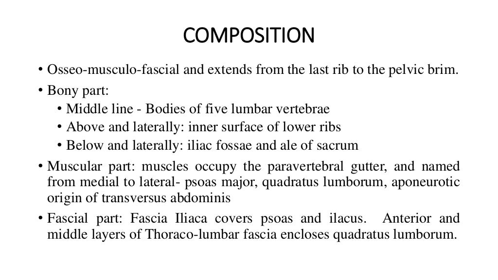 Posterior abdominal wall.pptx